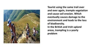 Global interdependence - A level Human Geography - Trade and Debt | PPTX