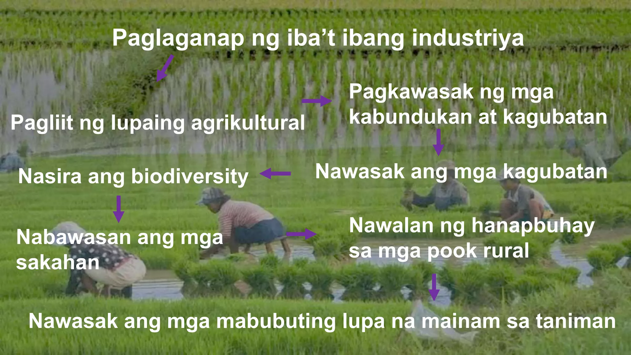 Globalisasyon at Ang Mga Isyu sa Paggawa.pptx