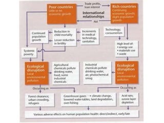 Globalisation Of Food Production | PPT