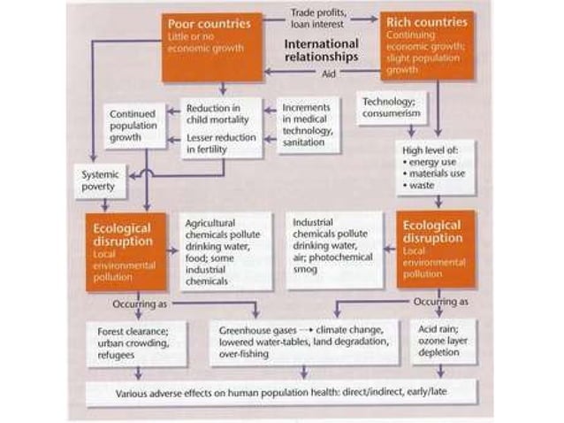 Globalisation Of Food Production | PPT
