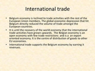 Global issues in belgium | PPTX
