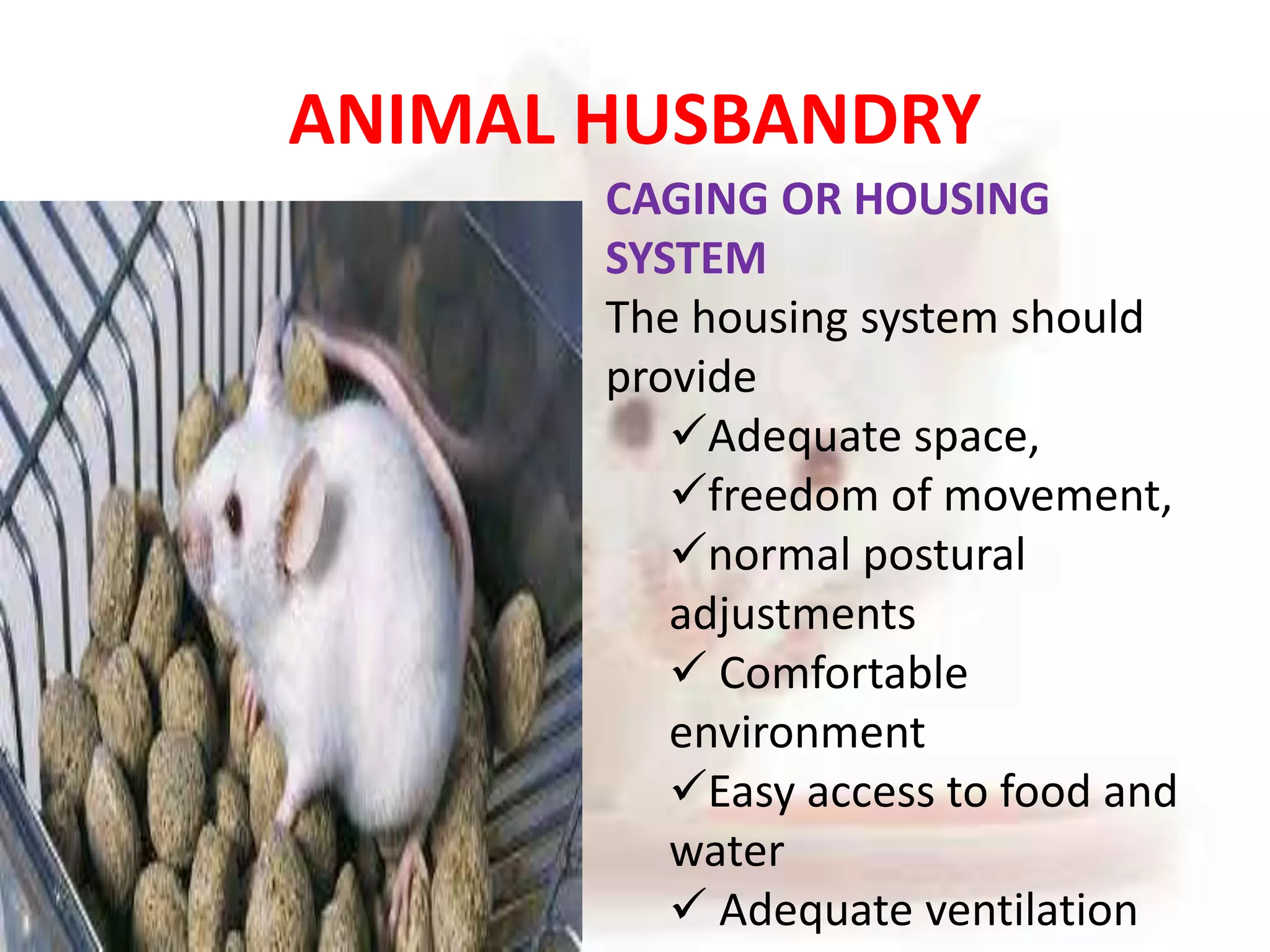 GLOBAL LAWS, REGULATION STANDARDS FOR ANIMALS IN.pptx