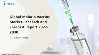 Malaria Vaccine Market Growth, Demand and Challenges of the Key Industry Players 2024-32 | PPT