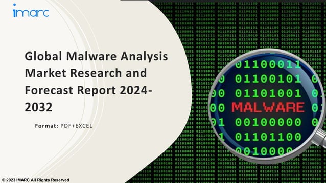 Malware Analysis Market Growth, Demand and Challenges of the Key ...