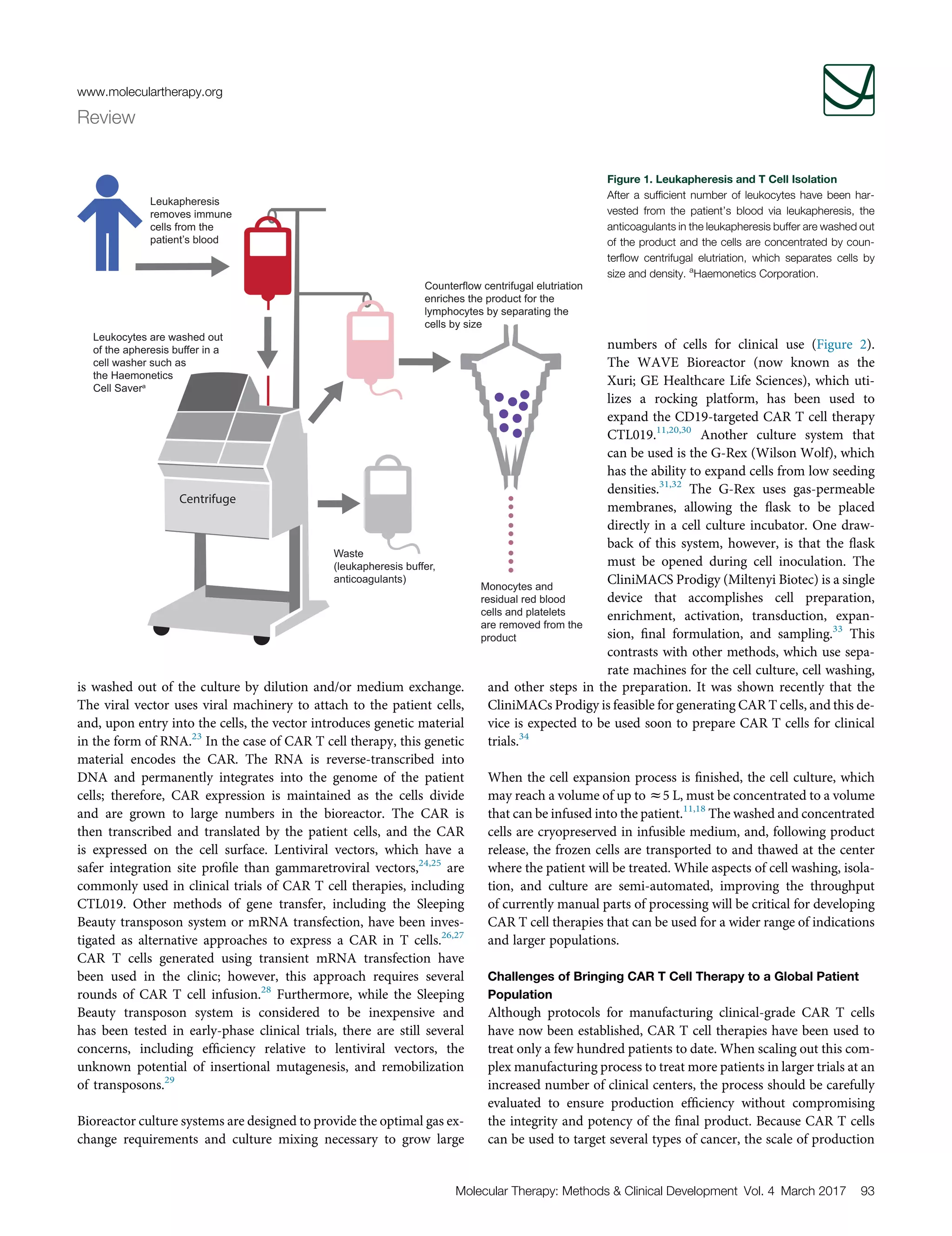 Global manufacturing of car t cell therapy | PDF