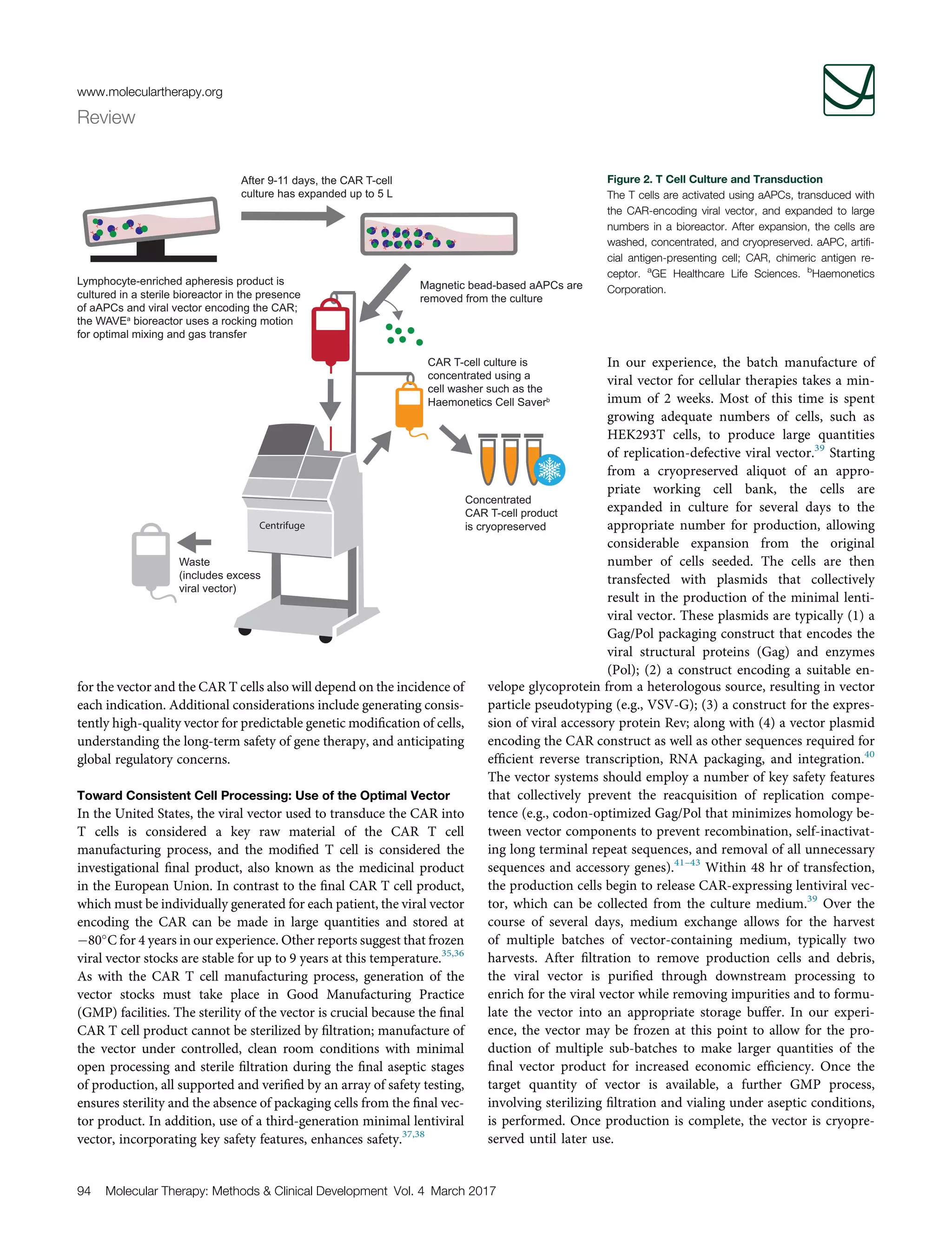 Global manufacturing of car t cell therapy | PDF