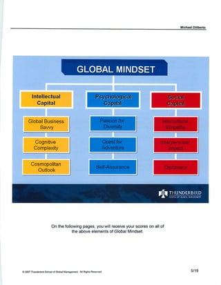 Mike Diliberto's Global Mindset | PDF