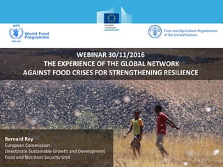 Webinar 7 Global network against food crises | PPT