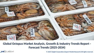 Global Octopus Market Share, Size & Insights (2025-2034) | PPTX