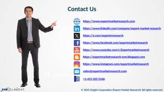 Global Octopus Market Share, Size & Insights (2025-2034) | PPT