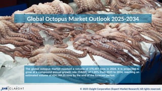 Global Octopus Market Share, Size & Insights (2025-2034) | PPT
