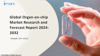 Organ-on-chip Market PPT: Growth, Outlook, Demand, Keyplayer Analysis and Opportunity 2024-32 | PPT