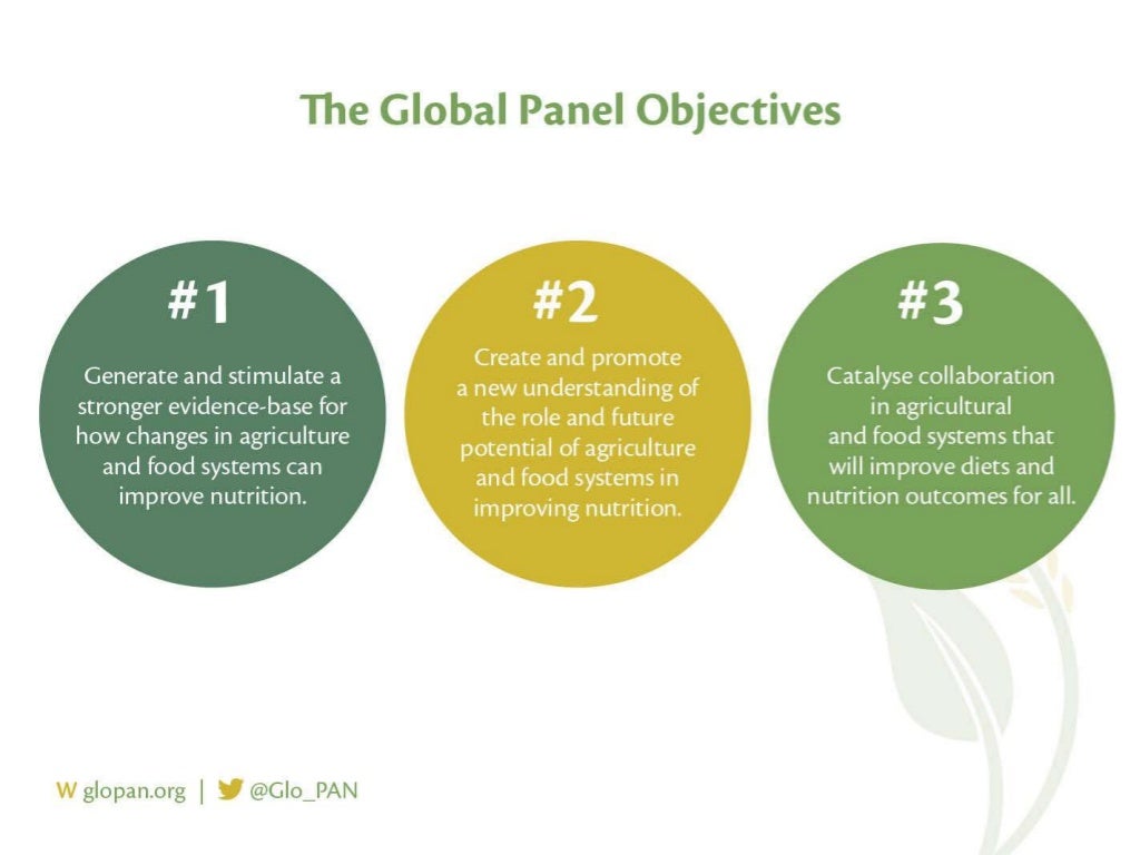 Global Panel presentation (short version)