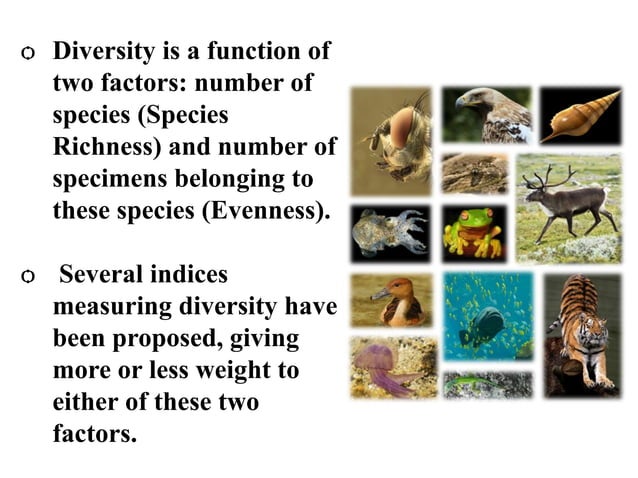 Global pattern of biodiversity | PPT