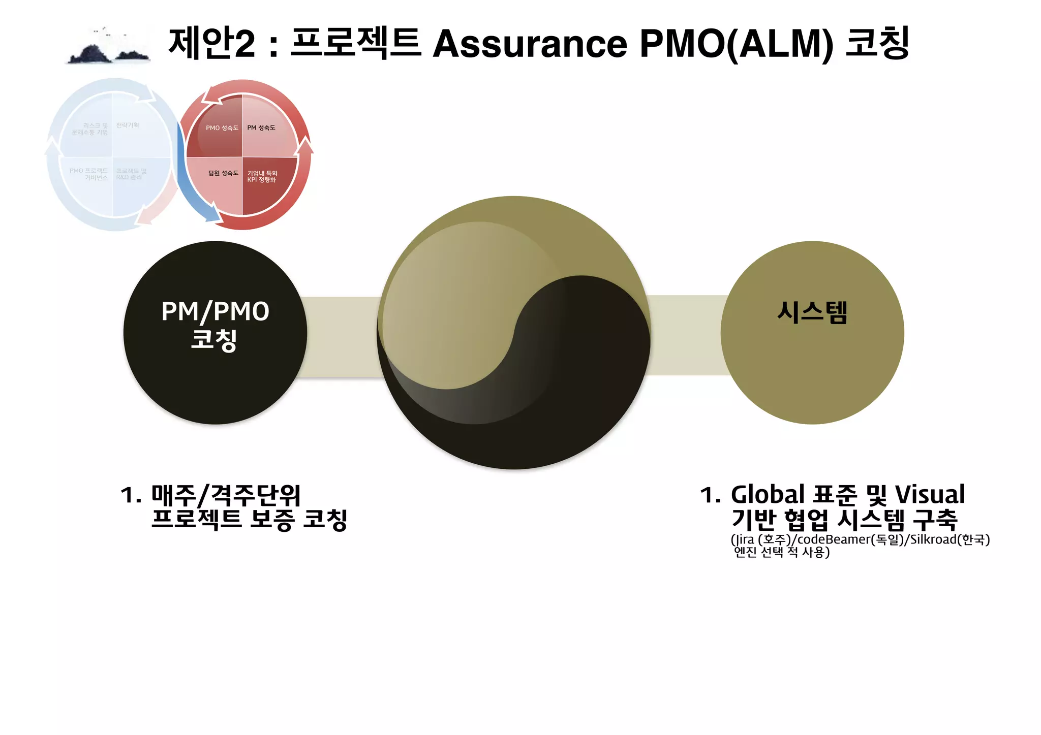 Visual PMO / ALM 소개서 | PDF