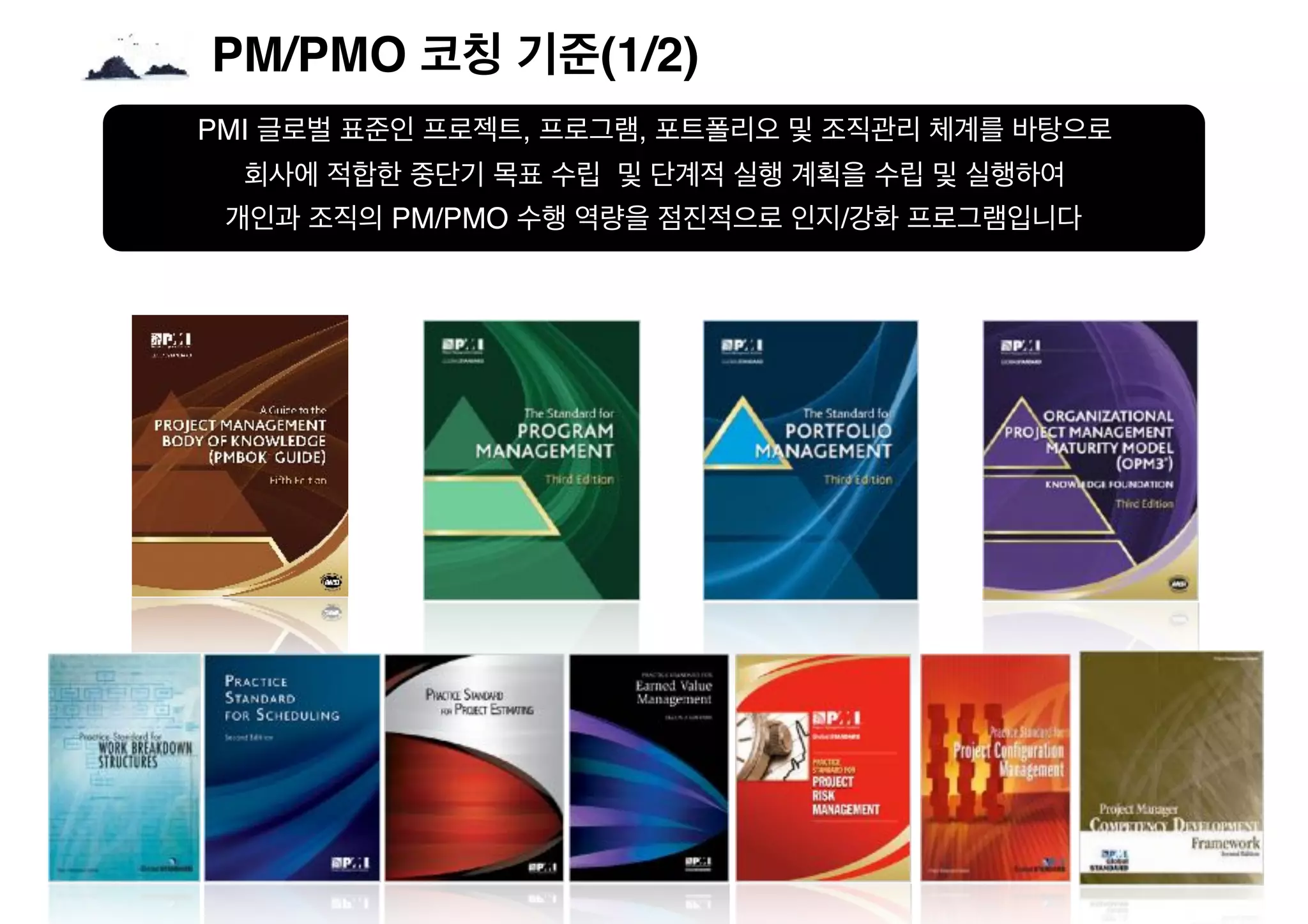 Visual PMO / ALM 소개서 | PDF