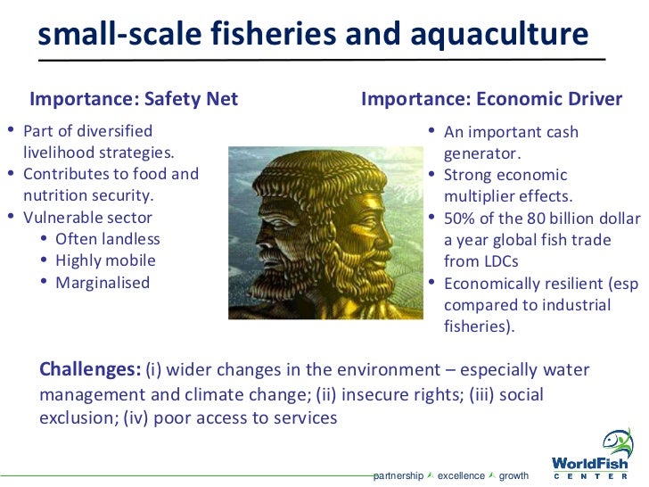 Global Pro Poor Fisheries and Aquaculture development by Dr. Ann Gord…