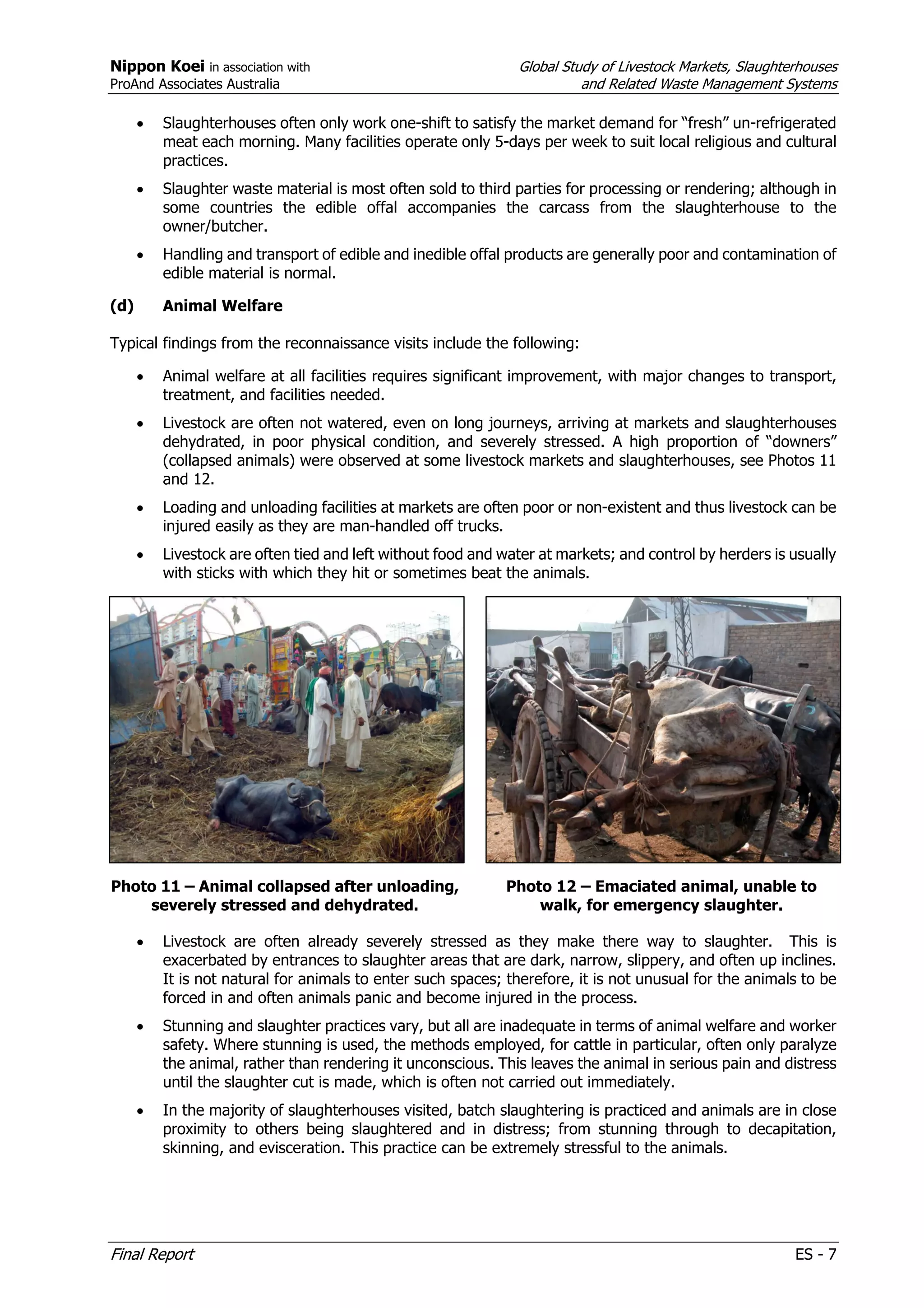 Municipal Live markets, Slaughterhouses and Waste Systems in Developing ...