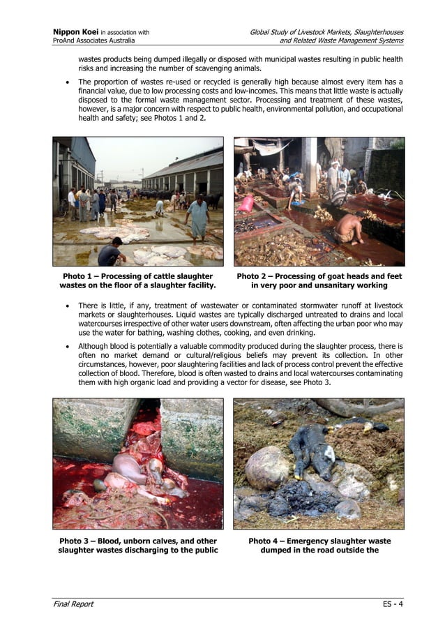 Municipal Live markets, Slaughterhouses and Waste Systems in Developing ...