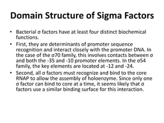 Global regulation and differentiation by sigma factor.pptx