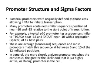 Global regulation and differentiation by sigma factor.pptx