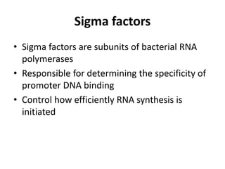 Global regulation and differentiation by sigma factor.pptx