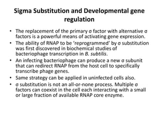 Global regulation and differentiation by sigma factor.pptx