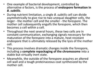 Global regulation and differentiation by sigma factor.pptx