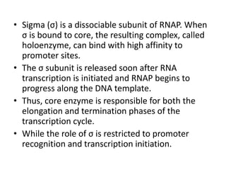Global regulation and differentiation by sigma factor.pptx