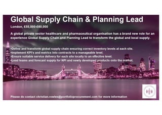 Global supply chain & planning lead | PDF