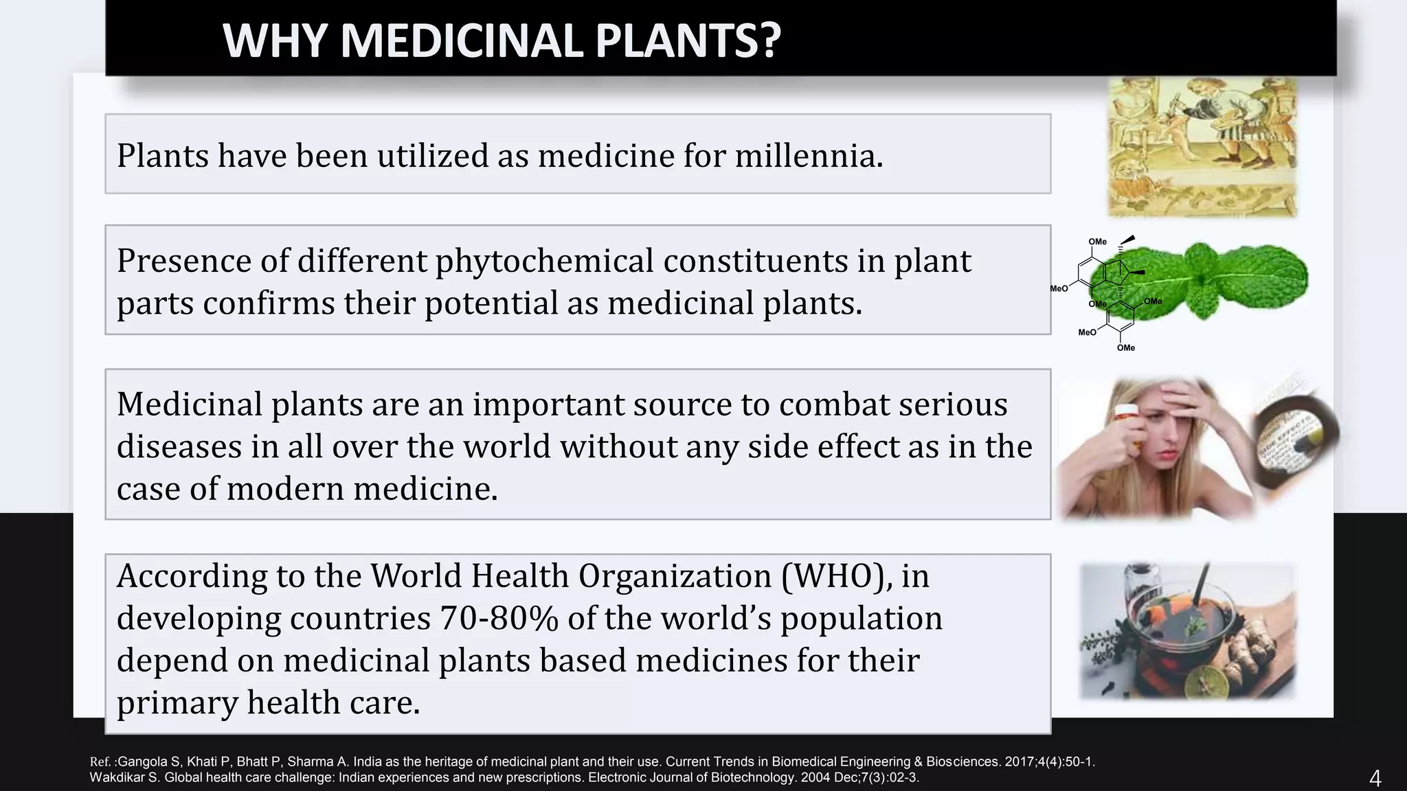 global trends of indian medicinal plant ppt.pptx
