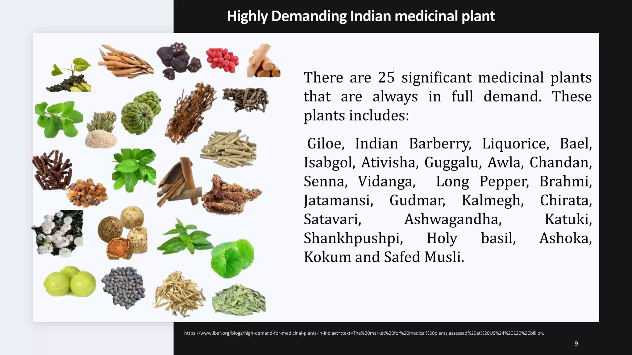 global trends of indian medicinal plant ppt.pptx