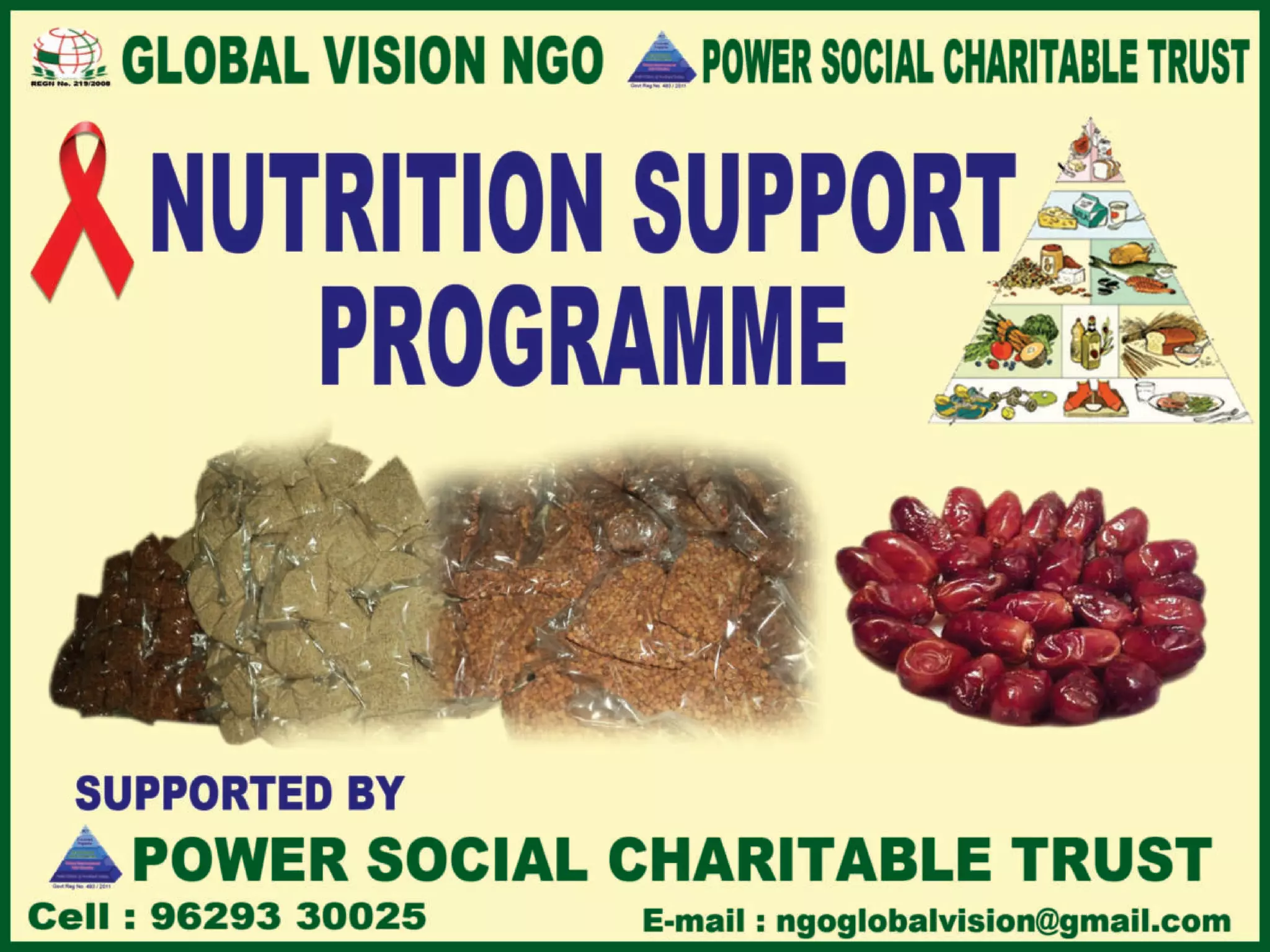 Global vision nutrition support programme | PDF