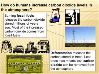 Global warming | PPT