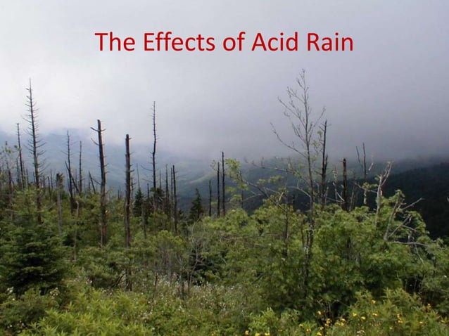 Global Warming Seminar: Acid Rain & Deforestation | PPTX
