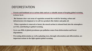 Global warming and climate change evs (1) | PPTX