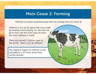 Global warming cases and effects notes grade 5 | PDF