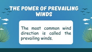 Understanding Global Wind Patterns and Their Impact on Climate and ...