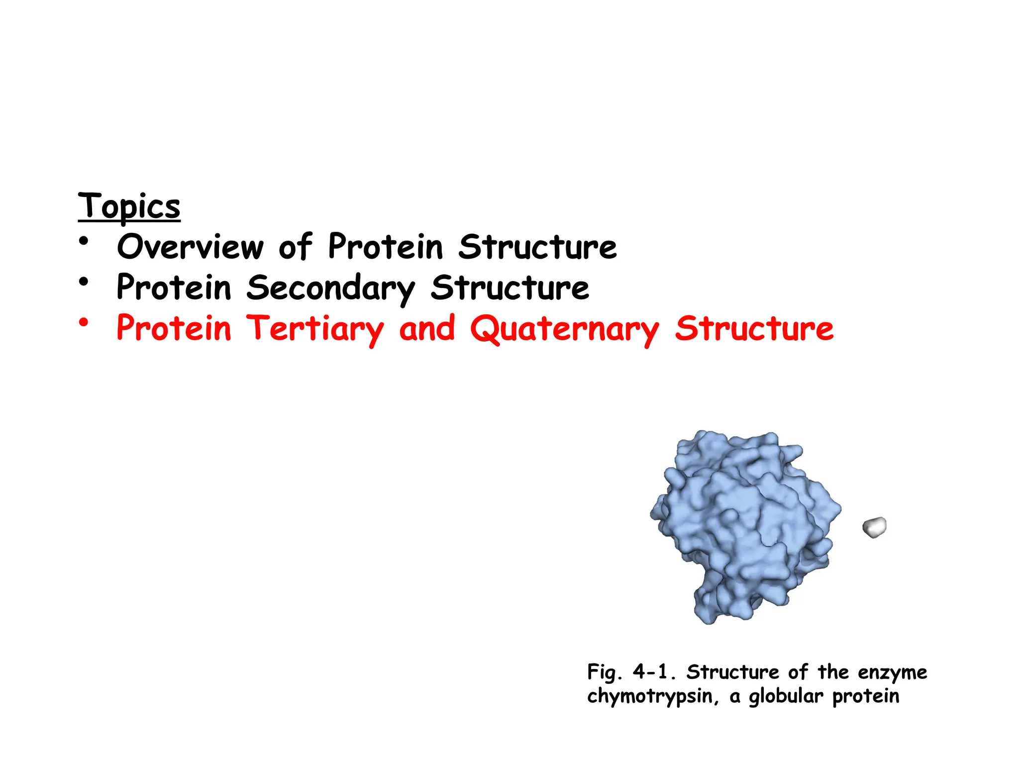 Globular and important Fibrous proteins.pptx