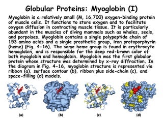 Globular and important Fibrous proteins.pptx