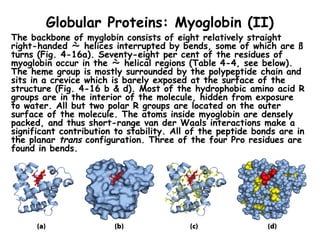 Globular and important Fibrous proteins.pptx