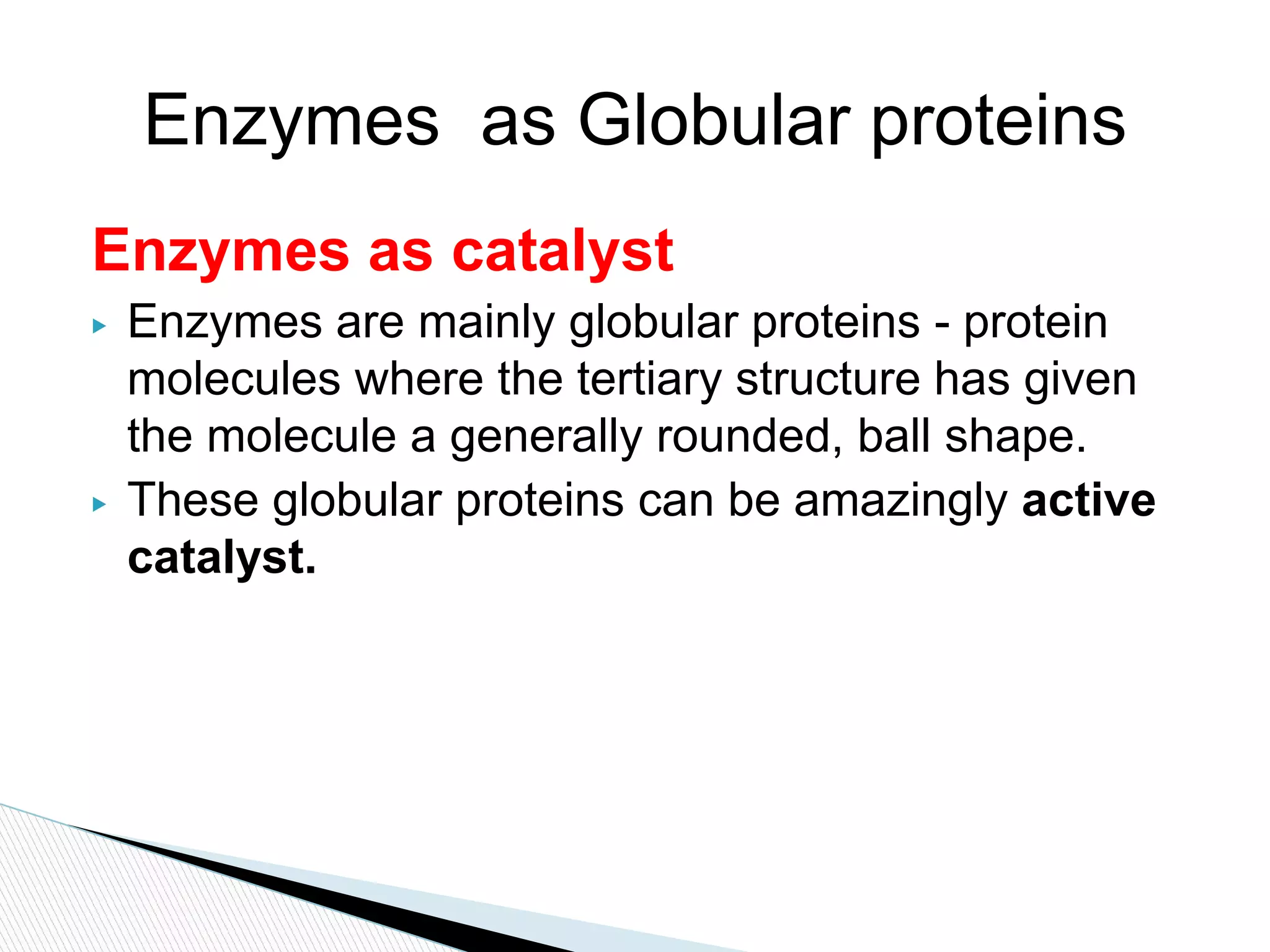 Globular proteins | PPTX