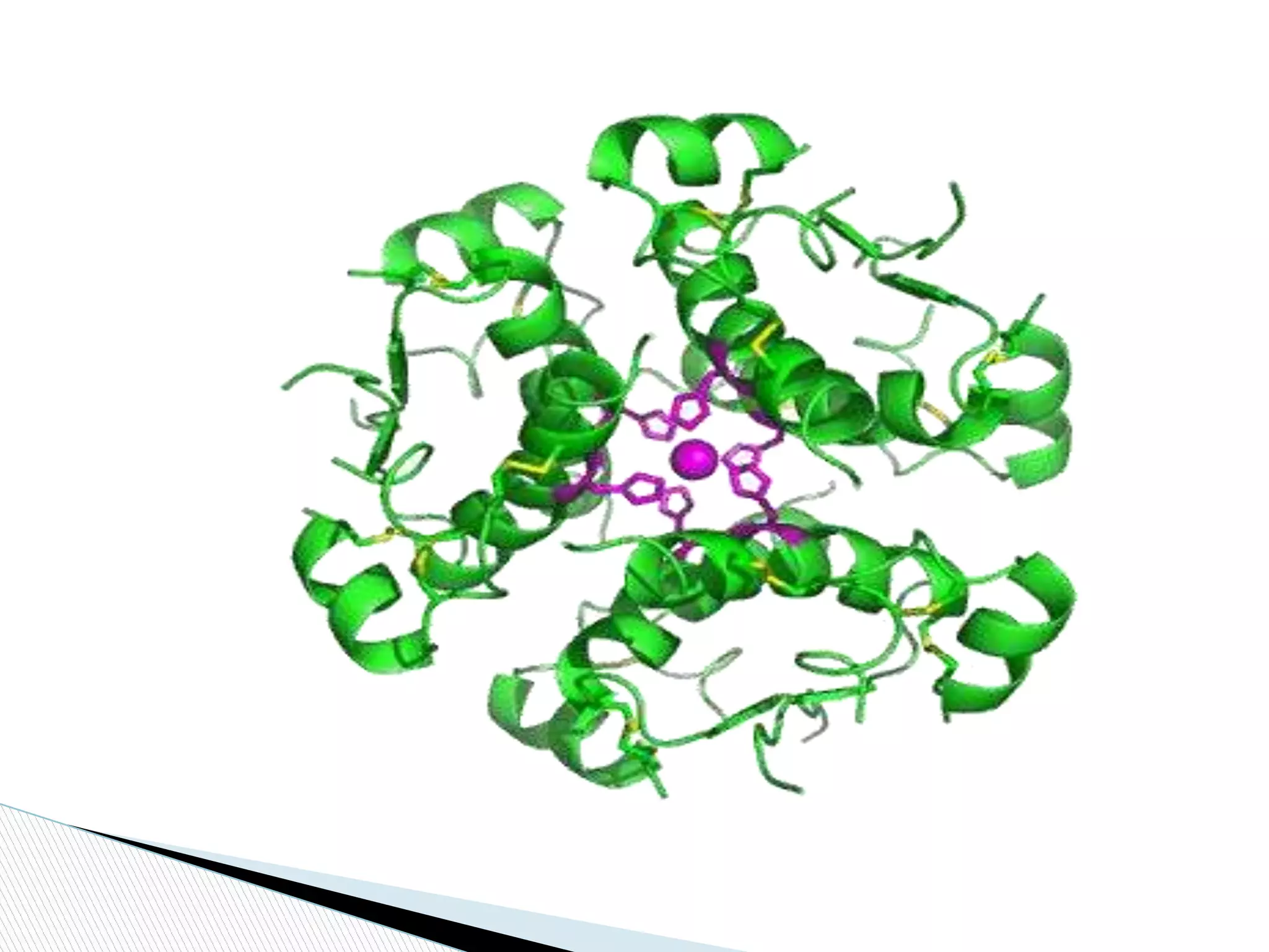Globular proteins | PPTX