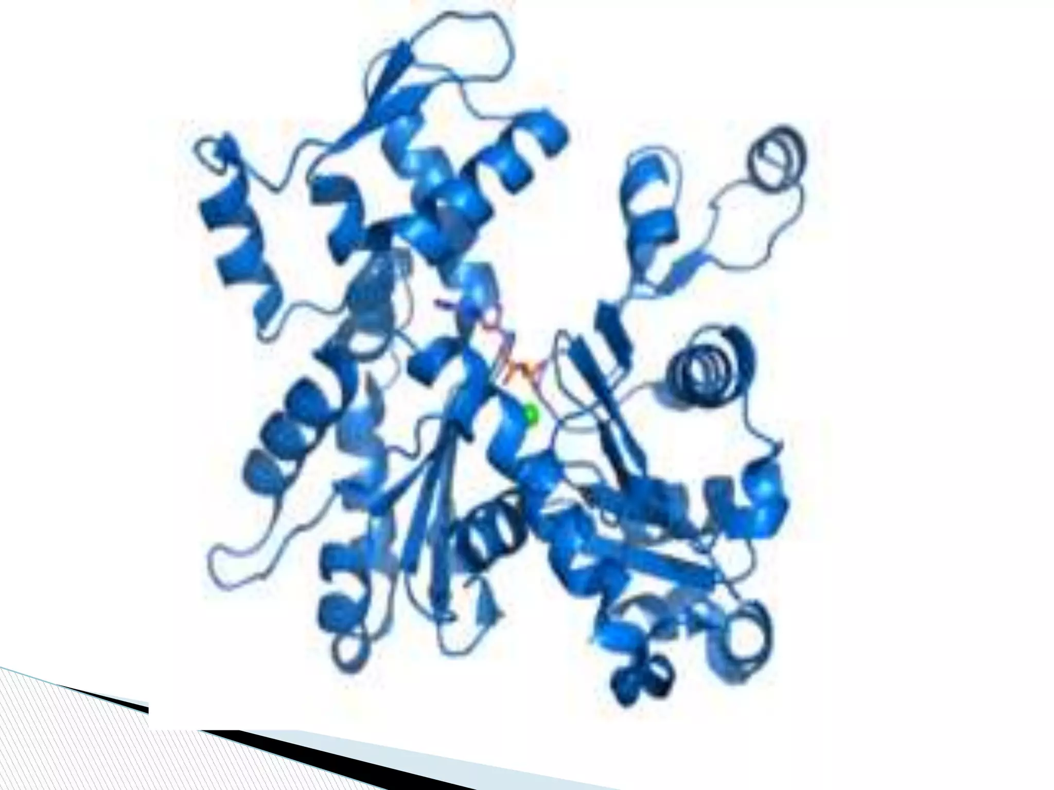 Globular proteins | PPTX