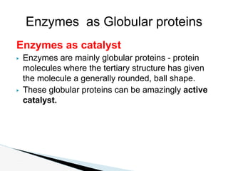 Globular proteins | PPTX