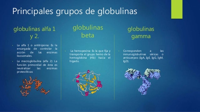 Globulinas