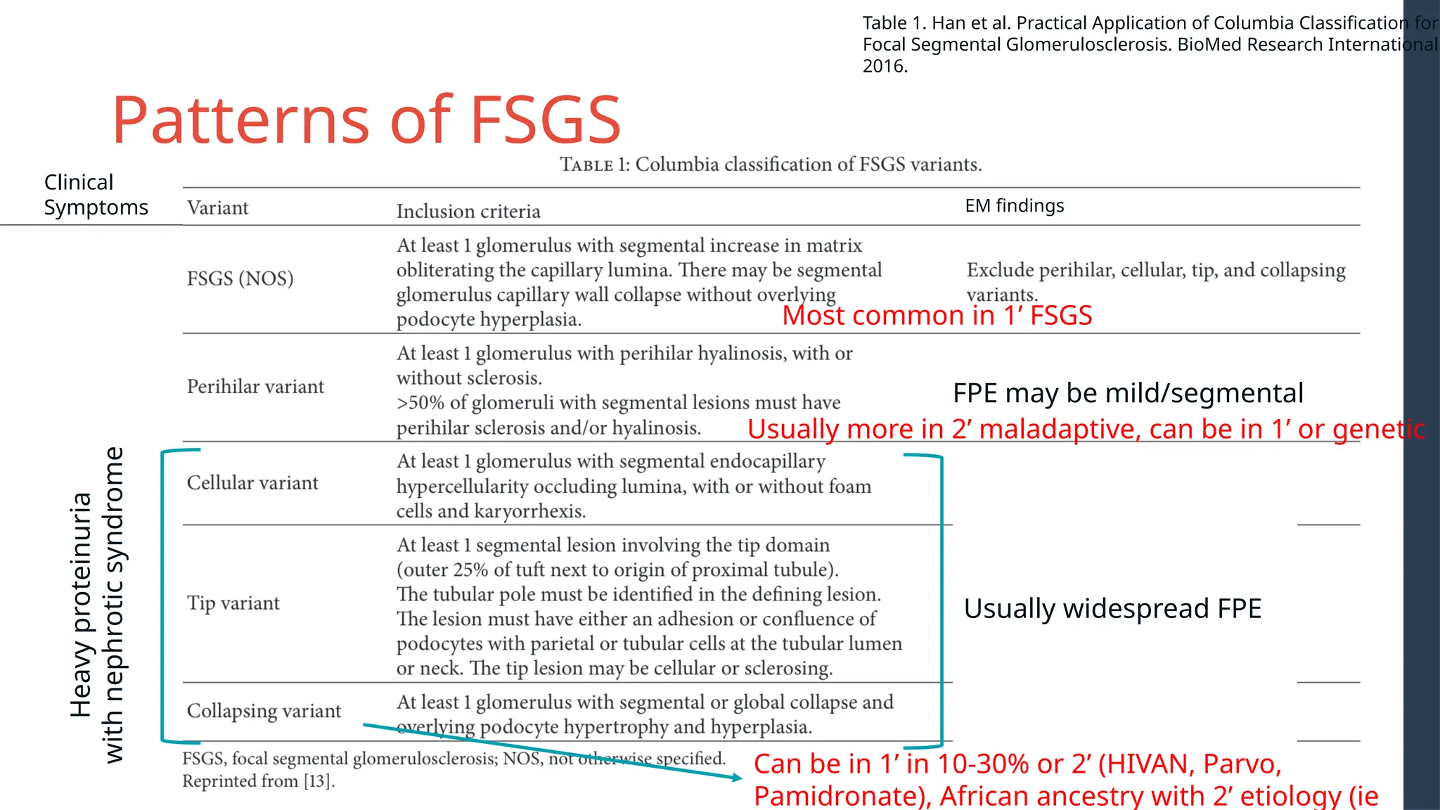 Glom Con: Basics of Focal Segmental Glomerulosclerosis (FSGS) | PPT