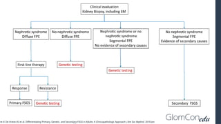 Glom Con: Basics of Focal Segmental Glomerulosclerosis (FSGS) | POTX