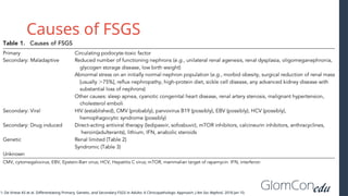 Glom Con: Basics of Focal Segmental Glomerulosclerosis (FSGS) | POTX