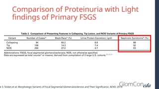 Glom Con: Basics of Focal Segmental Glomerulosclerosis (FSGS) | POTX